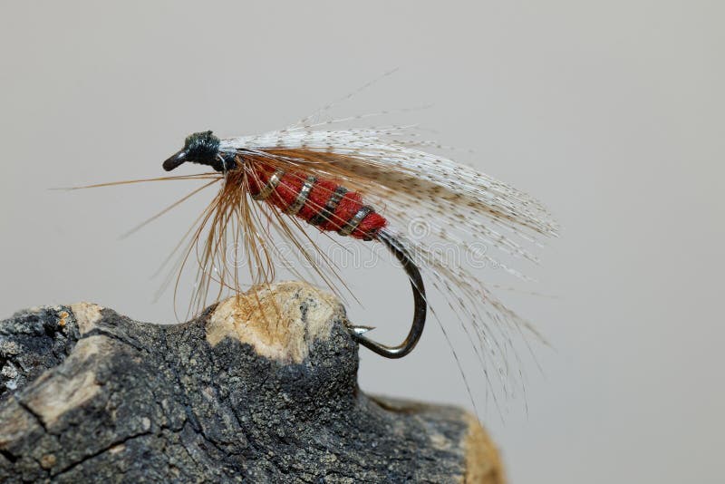 Red fly fishing lure stock photo. Image of artificial - 47704824