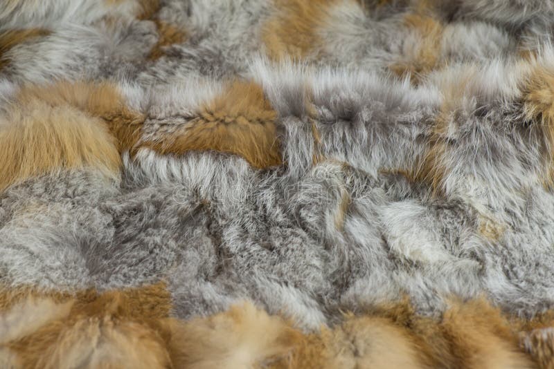 Red Fox Fur Background in Various Colors Stock Photo - Image of coat ...