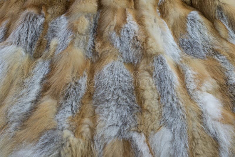 Red Fox Fur Background in Various Colors Stock Image - Image of winter ...