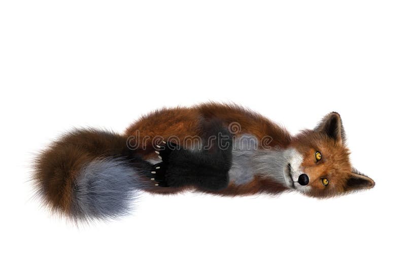 Fox Lying Stock Illustrations – 715 Fox Lying Stock Illustrations ...