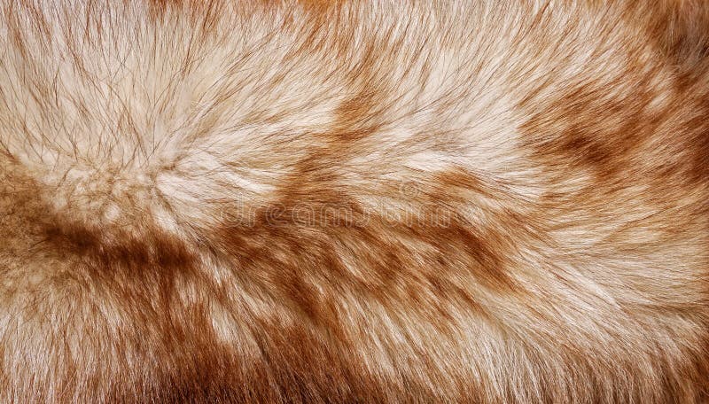 Red fox rough fur texture stock photo. Image of furry - 59967300