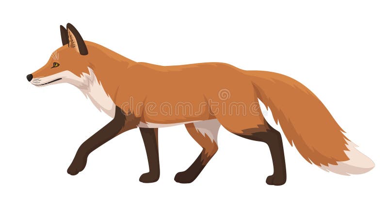 Cartoon Fox Side Stock Illustrations – 471 Cartoon Fox Side Stock ...