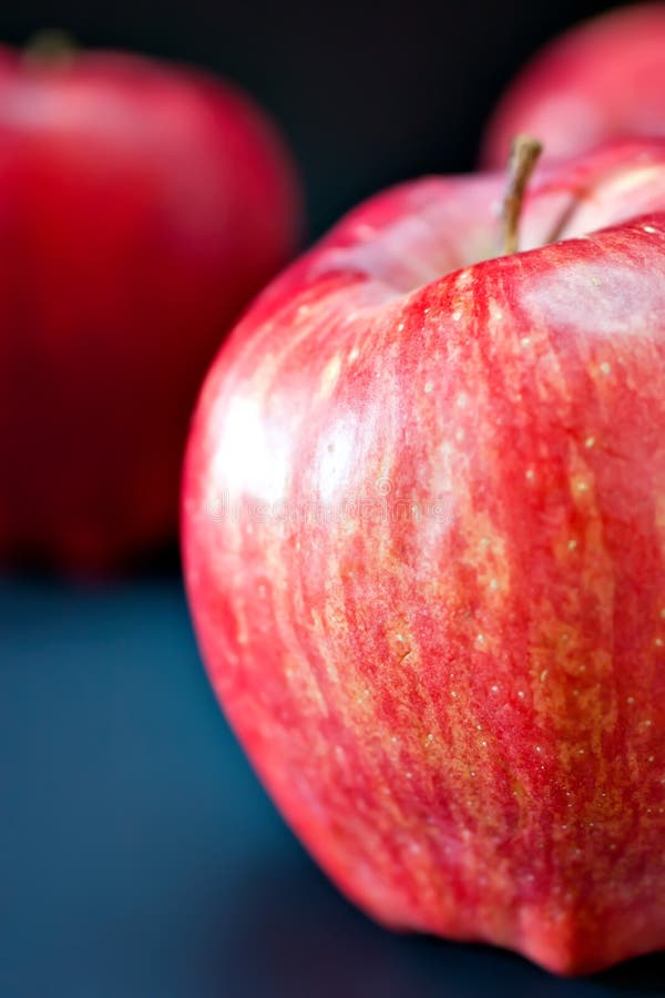 Red fresh apples stock image. Image of herb, seasonings - 22383385