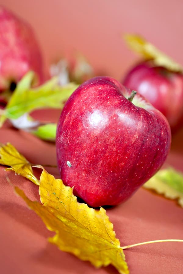 Red fresh apples stock image. Image of herb, seasonings - 22383385