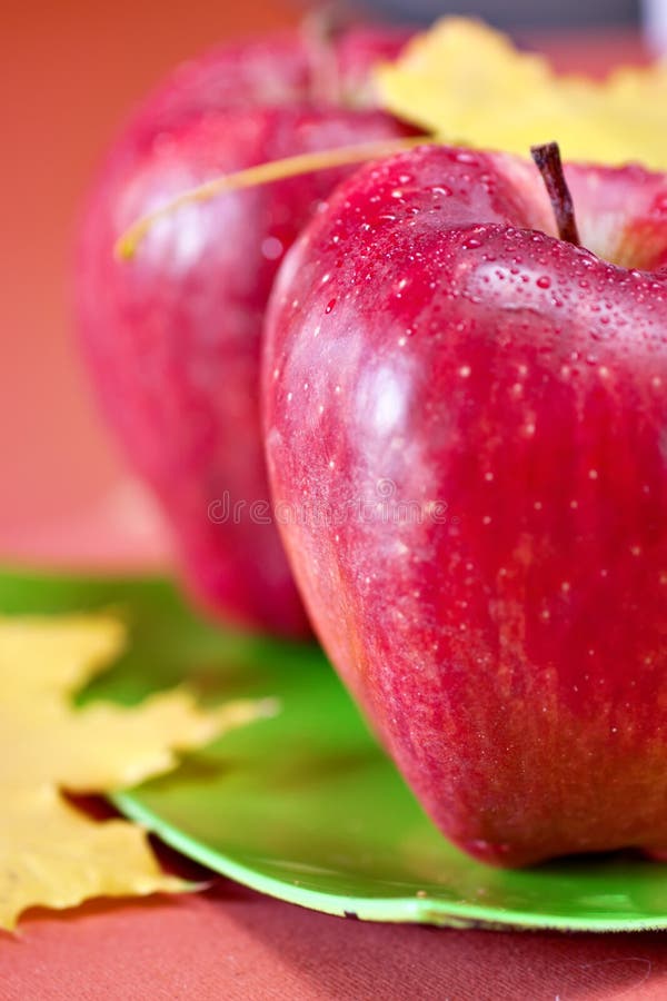 Red fresh apples stock image. Image of herb, seasonings - 22383385
