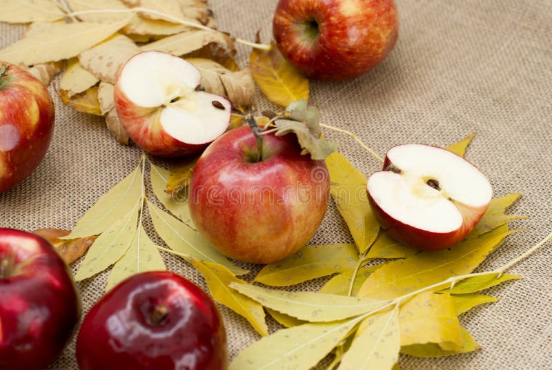 Red fresh apples stock image. Image of freshness, fresh - 45794401