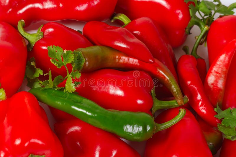 Red Fresh Bell Peppers and Chili Closeup Stock Photo - Image of diet ...