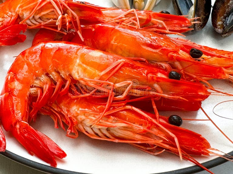 Cooked Prawns stock photo. Image of prawn, seafood, crustacyanin ...