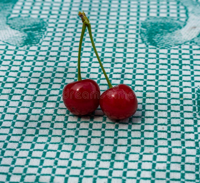 Red Fresh Cherries. Close Up Photo of Cherries Stock Photo - Image of ... Red Fresh Cherries. Close Up Photo of Cherries Stock Photo - Image of ...