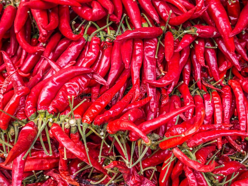 Fresh Chillies on Market Stall Bagiuo Philippines Stock Image - Image ...