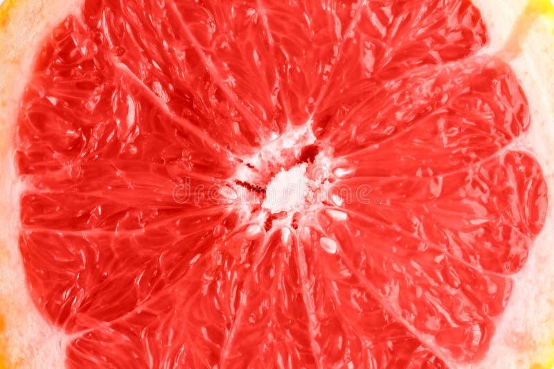 Red Fresh Grapefruit Macro Close Up Shot Stock Photo - Image of leaf ...