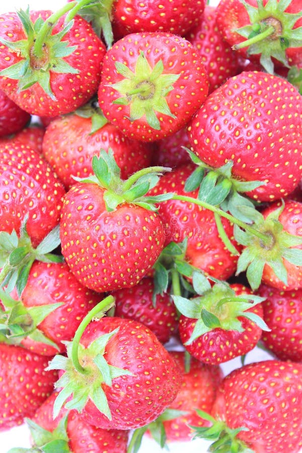 Red, Fresh and Natural Strawberries Stock Photo - Image of vitamins ...