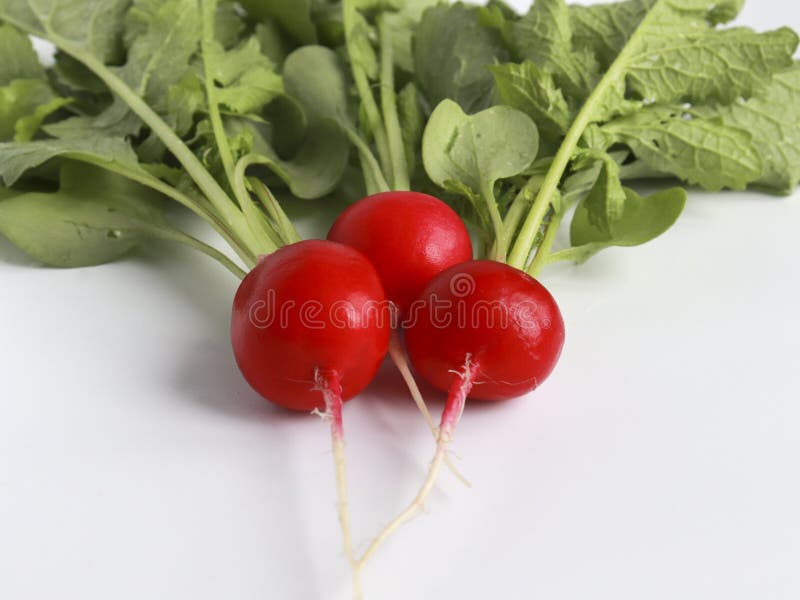 Red Fresh Radish, Ingredient for a Healthy Salad Stock Photo - Image of ...