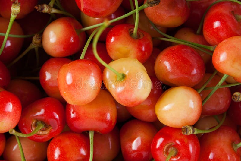 Red fresh ripe cherry stock image. Image of closeup, background - 95227673