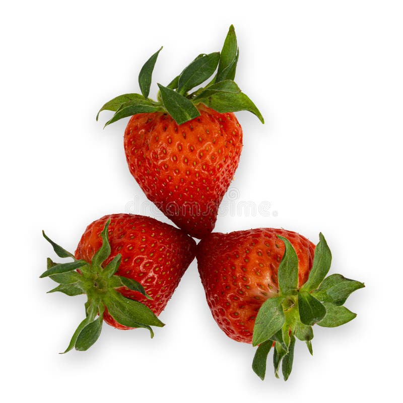 Red Fresh Ripe Delicious Strawberry with Green Leaf Stock Image - Image ...