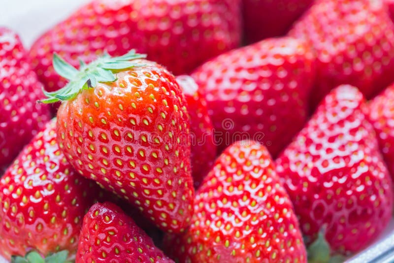 Red fresh strawberries. stock photo. Image of healthy - 72287478