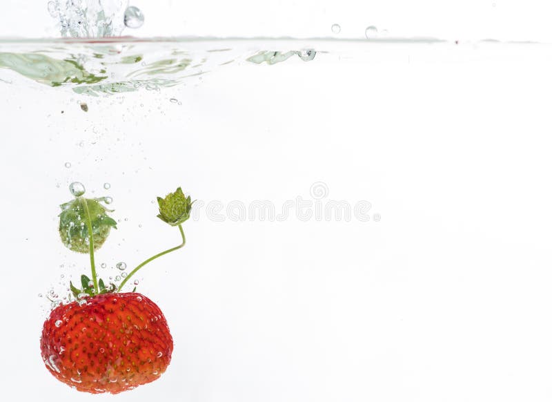 Red Fresh Strawberries Thrown into the Water, Under Water. Spat and ...