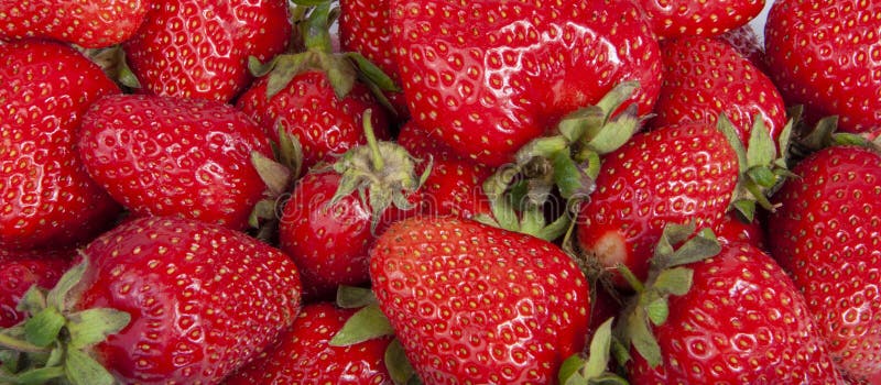 Red Fresh Strawberry Isolated on the White Stock Photo - Image of ...