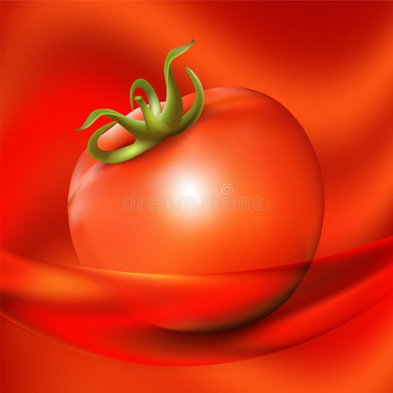 Red Fresh Tomato on Abstract Red Background. Stock Vector ...