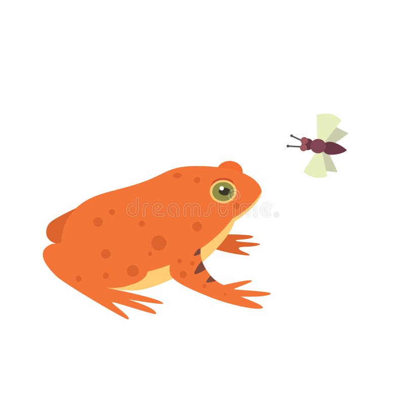 Red Frog Cartoon Vector Illustration Isolated. Tropical Animal Stock ...