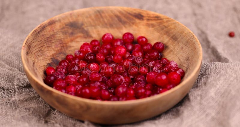 Quick-frozen Sour Cranberries of Red Color Stock Video - Video of ...