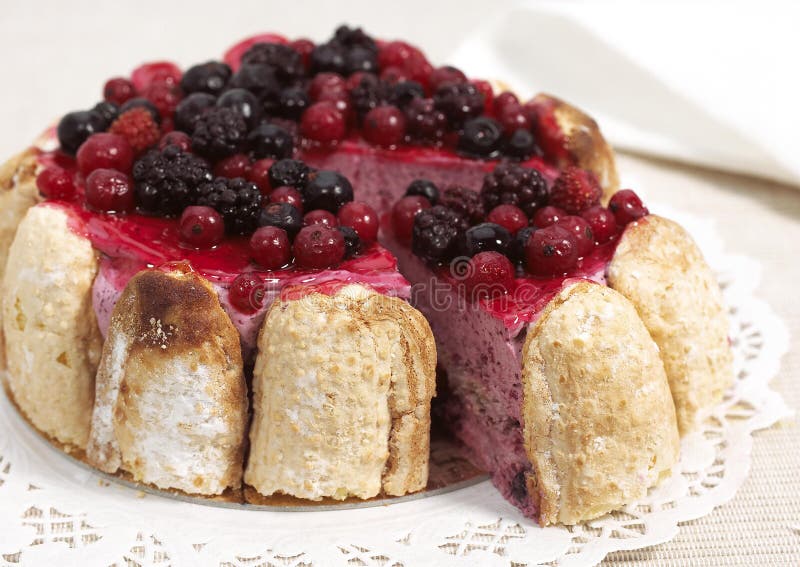 Red Fruits Charlotte stock image. Image of studio, blueberr - 195880257