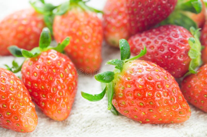 Red fruits stock photo. Image of green, ripe, fruit, nutrient - 40946432