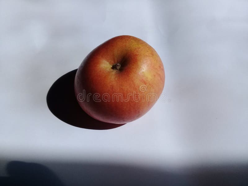 Red Fuji apple stock photo. Image of orange, drink, apples - 254019860