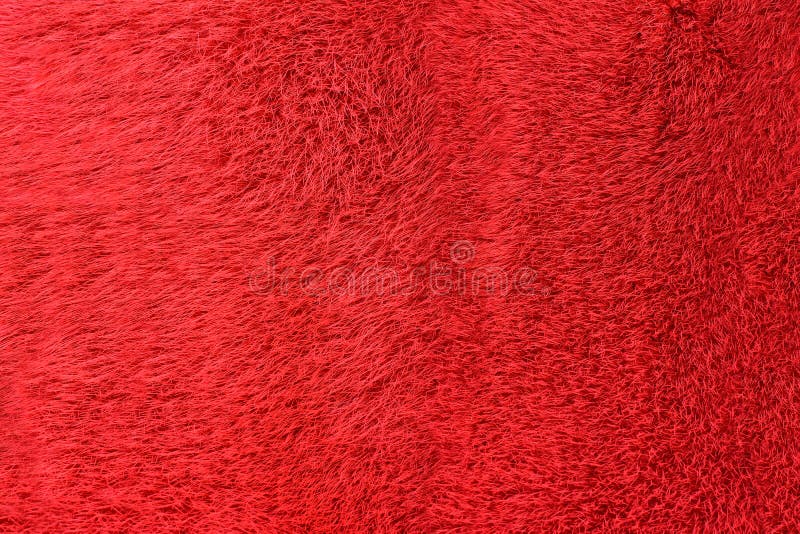 Sophisticated Hairy Brunette Girl Stock Photos - Free & Royalty-Free ...