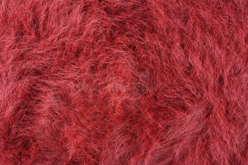 Red fur texture stock photo. Image of animal, softness - 341768580