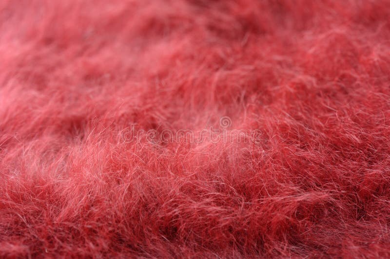 Red fur texture stock photo. Image of furry, feline - 341768596