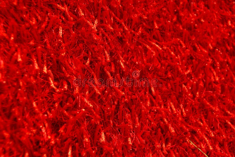 Blood Guts And Texture