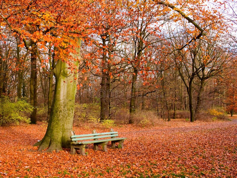 Red garden stock photo. Image of field, color, vitality - 14330402