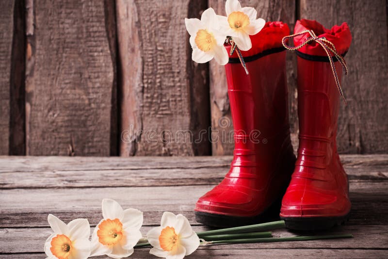 Red Garden Shoes with Spring Flowers Stock Image - Image of shoe, shoes ...