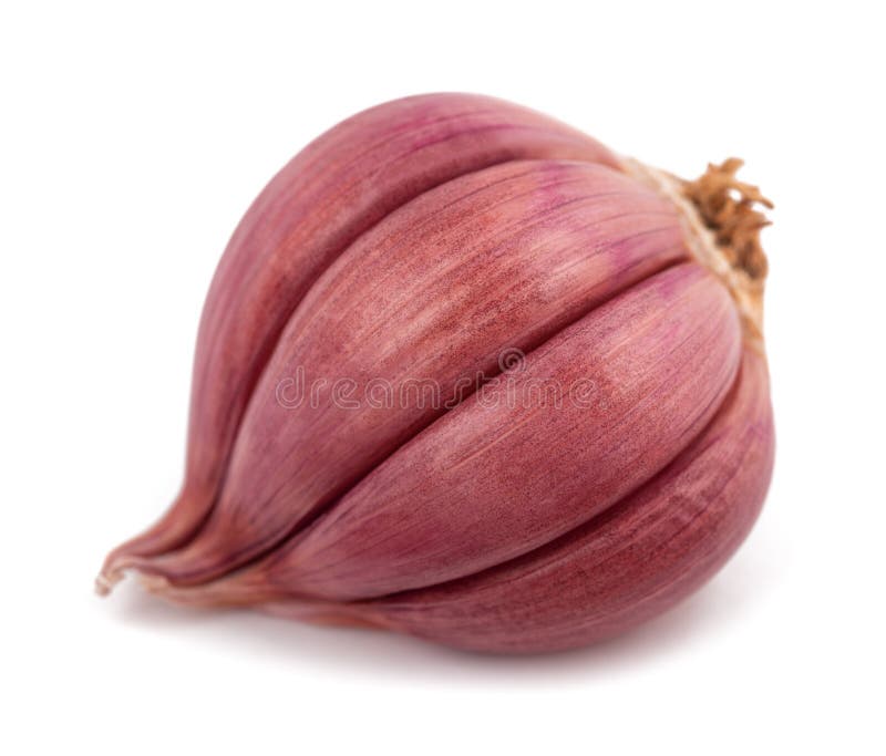 Red garlic stock image. Image of spices, aroma, allium - 190470955