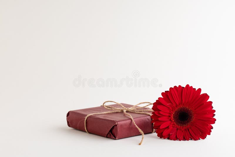 Red Gebera Flower with Different Objects on White Stock Image - Image ...