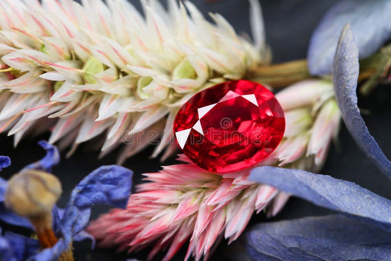 Gem stone Beauty Shot stock photo. Image of stone, gems - 185009446