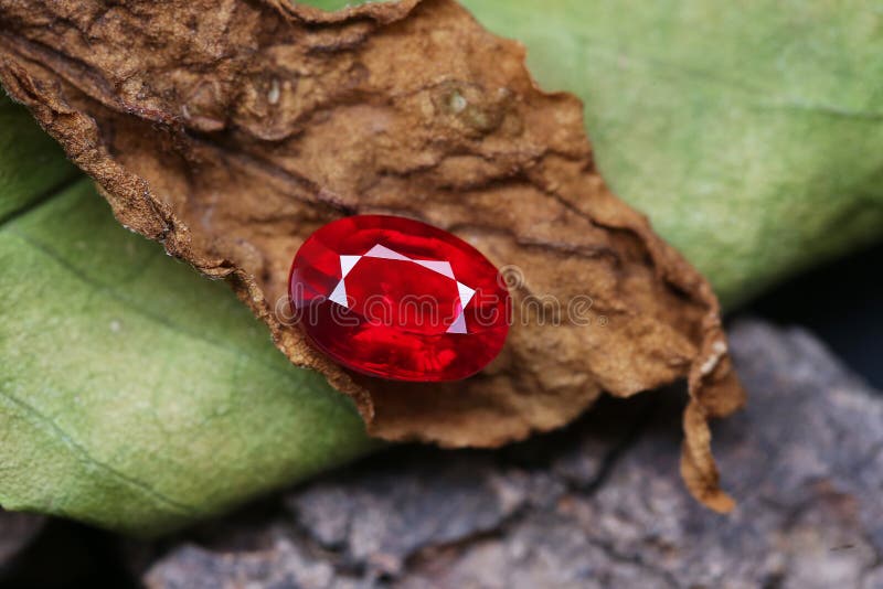 Gem stone Beauty Shot stock photo. Image of gems, stone - 185009982
