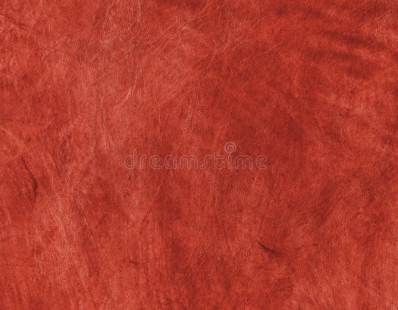 Blood Scroll Photos - Free & Royalty-Free Stock Photos from Dreamstime