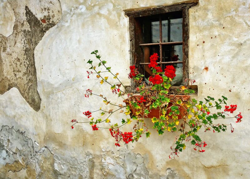 Rectangular Plastic Planter Box Stock Photos - Free & Royalty-Free ...