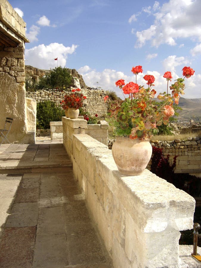 Red Geraniums on a terrace stock image. Image of stone - 4317447