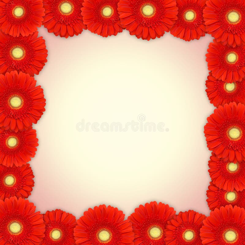 Red gerbera daisy frame stock image. Image of seasonal - 40795581