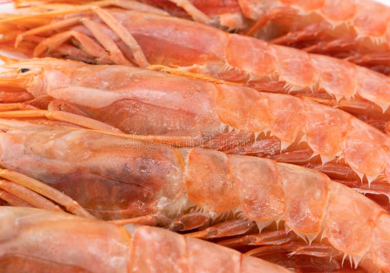 Red Giant Argentine Shrimp Texture Background. Large Tiger Shrimp ...