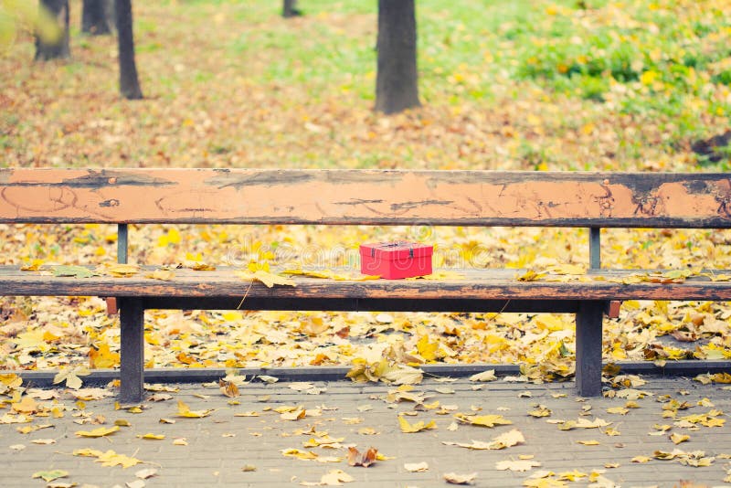 Red Gift Box on Bench in Autumn Park Stock Photo - Image of pattern ...