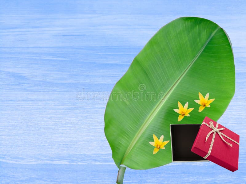 Banana tile stock image. Image of bananas, studio, healthy - 32667205