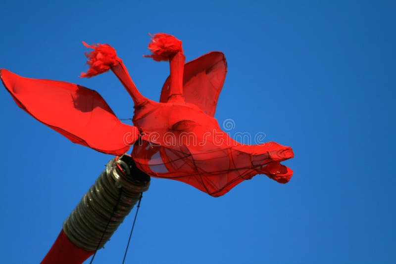 Red giraffe stock image. Image of fresh, cute, colorful - 9177415