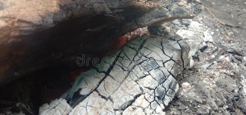 Bonfire ashes stock photo. Image of campfire, charcoal - 13545876