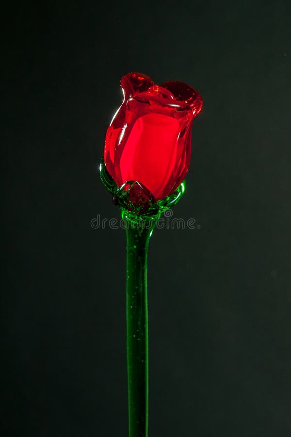 Red glass rose stock photo. Image of single, color, symbol - 41131624