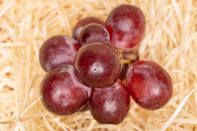 Red globe grape on white stock image. Image of macro - 180258455