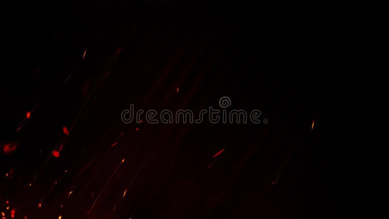 Red Glowing Flying Embers Burning on Black Background. Background with ...